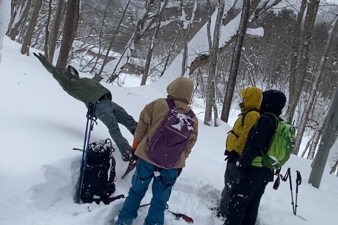 Sapporo Private Sightseeing Tour in Onsen With Special Package - Sightseeing Highlights