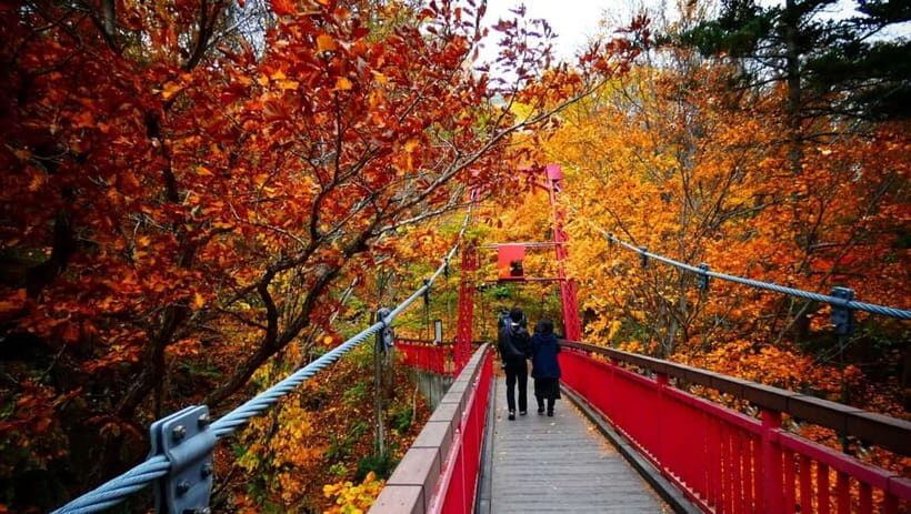 Sapporo: The Indigenous Ainu People & Jozankei walking tour - An Introduction to the Tour Experience