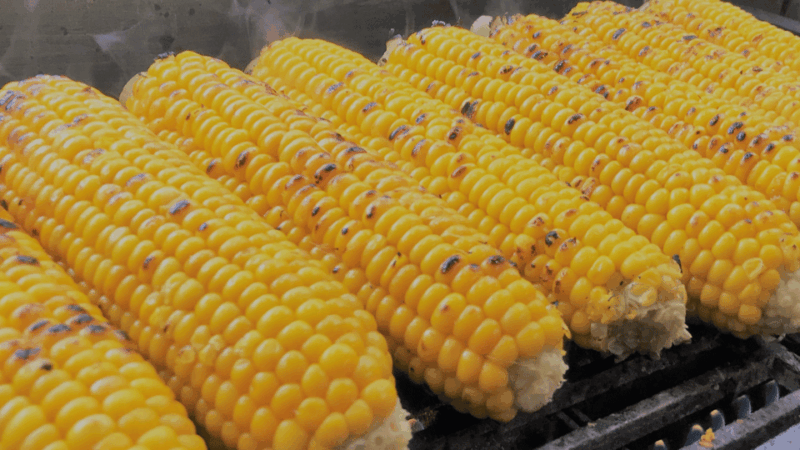 Sapporo Walking Tour - Insights From Sapporo-Based Staff