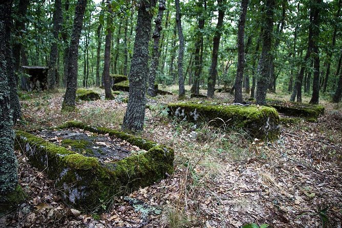 Sarajevo To/From Belgrade UNESCO Transfer Day Tour (Fees Incl.) - Group Size