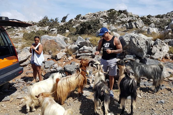 Sarakina Gorge & High Mountains & South Coast & (Luxury Adventure) - Bask in the Refreshing Waters of the Libyan Sea