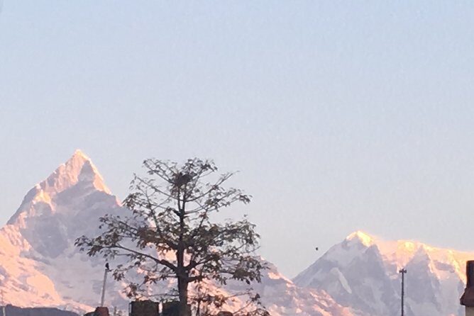 Sarangkot Sunrise Tour by Car - Why Choose the Sarangkot Sunrise Tour?