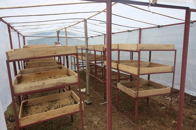 Sarangkot Village Coffee Culture and Authentic Local Life Tour - Value for Money