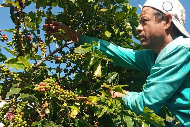 Sarangkot Village Coffee Culture and Authentic Local Life Tour - Practical Tips