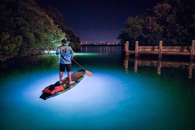 Sarasota - Clear Kayak LED Night Glass Bottom Tour - Who Should Consider This Tour?
