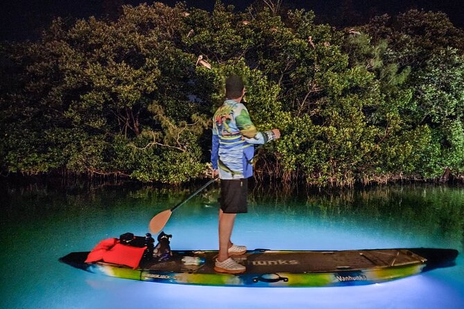 Sarasota - Clear Kayak LED Night Glass Bottom Tour - FAQ