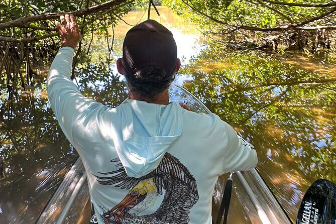 Sarasota Clear Kayak Tour - Who Will Love This Tour?