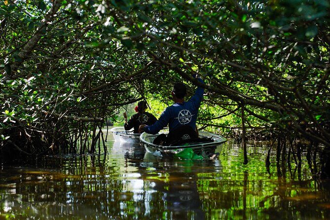 Sarasota Clear Kayak Tour - The Sum Up