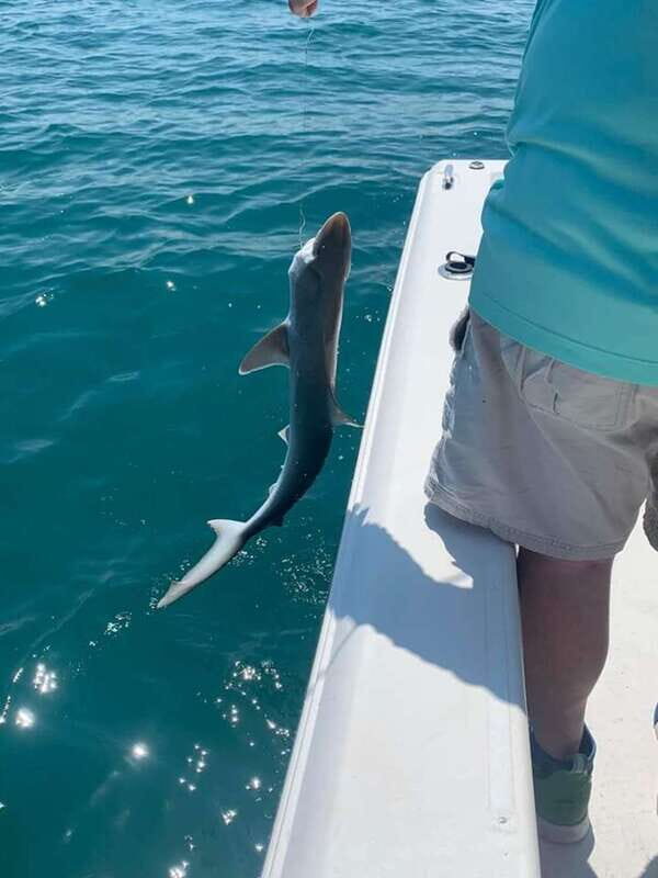 Sarasota Florida: Skyway Fishing Tours - An In-Depth Look at Skyway Fishing Tours in Sarasota