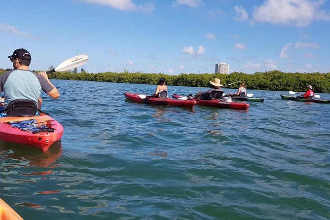 Sarasota Guided Mangrove Tunnel Kayak Tour - The Sum Up: Who’s It Best For?