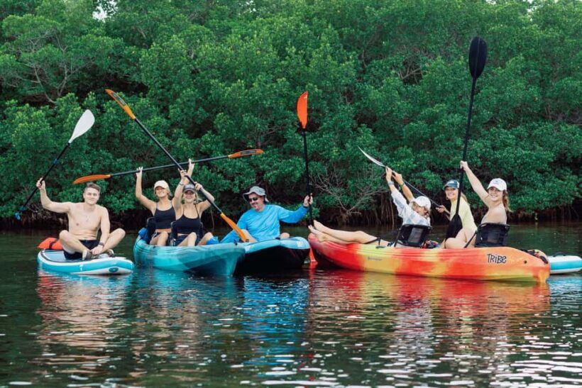 Sarasota: Guided Mangrove Tunnel Kayak Tour Lido Key - Equipment and Comfort