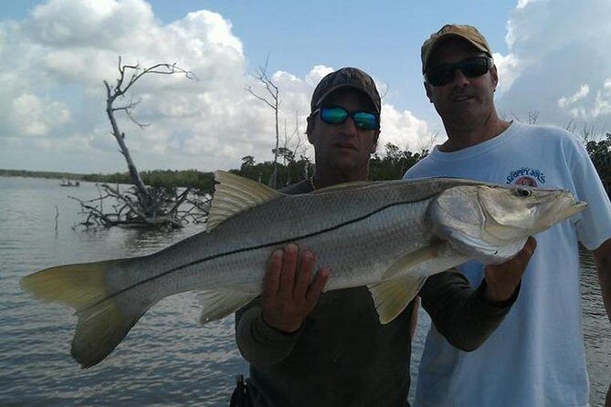 Sarasota Inshore Fishing Charters - An In-Depth Look at Sarasota Inshore Fishing Charters