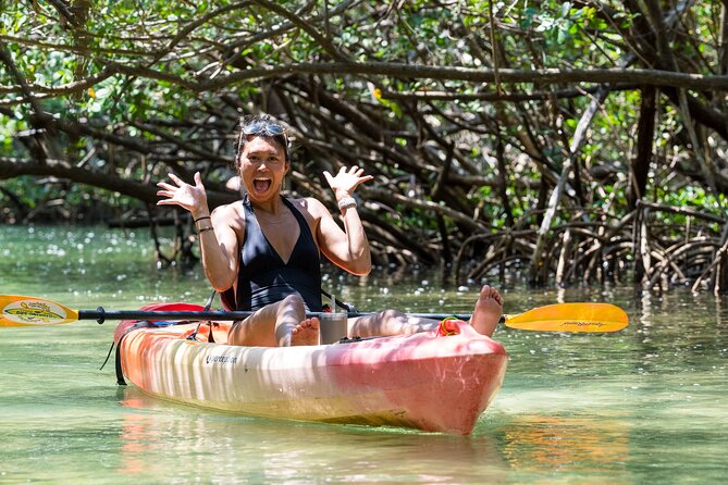 Sarasota Mangrove Tunnel Guided Kayak Adventure - The Guides Make the Difference