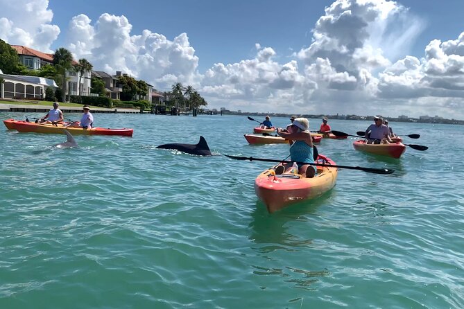 Sarasota Mangrove Tunnel Guided Kayak Adventure - Practical Details and Considerations