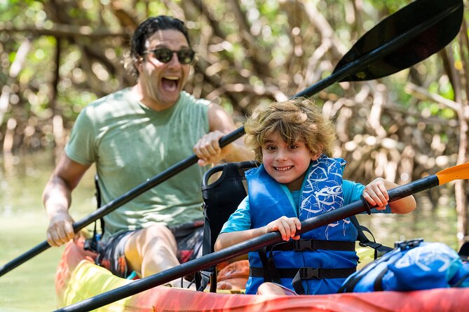 Sarasota Mangrove Tunnel Guided Kayak Adventure - Why This Tour Is a Great Choice