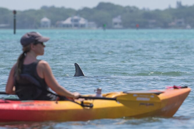 Sarasota Mangrove Tunnel Guided Kayak Adventure - Who Should Consider This Experience?