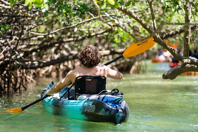 Sarasota Mangrove Tunnel Guided Kayak Adventure - FAQs