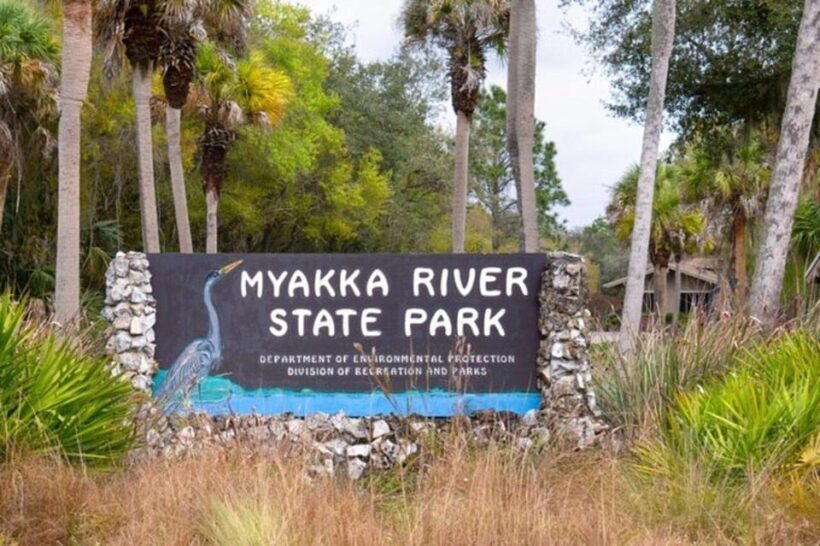 Sarasota: Myakka State Park E-bike Safari Experience - Photo Memories & Sharing the Experience