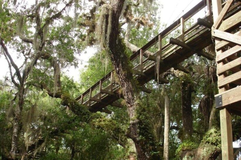 Sarasota: Myakka State Park E-bike Safari Experience - FAQs