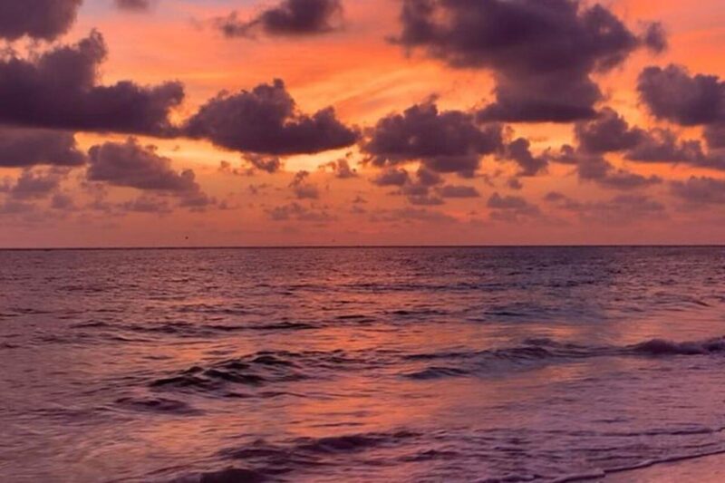 Sarasota: Siesta Key Electric Bike Sunset Tour - An Overview of the Experience