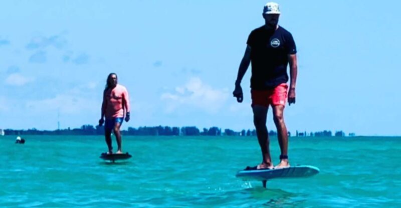 Sarasota: Ultimate Adventure - The Practicalities: From Booking to Comfort