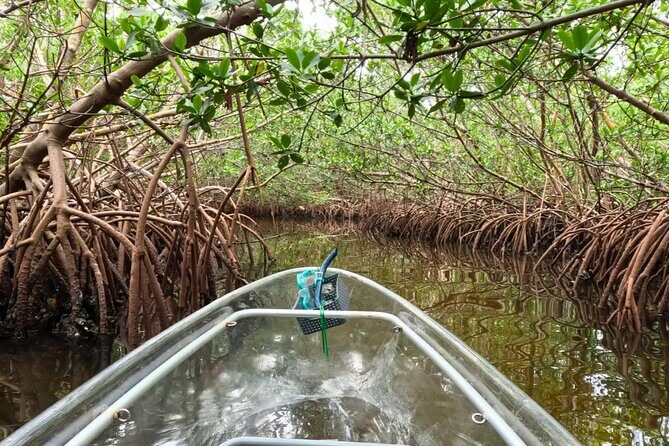 Sarasota Waterways Tour for All Ages - The Sum Up: The Value and Experience