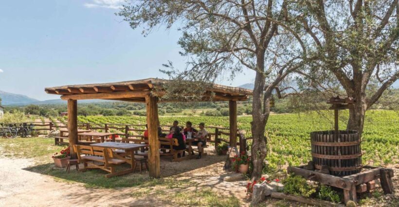 Sardinia: Dorgali Winery Tour with Tasting and Local Guide - Authenticity and Intimacy of the Experience