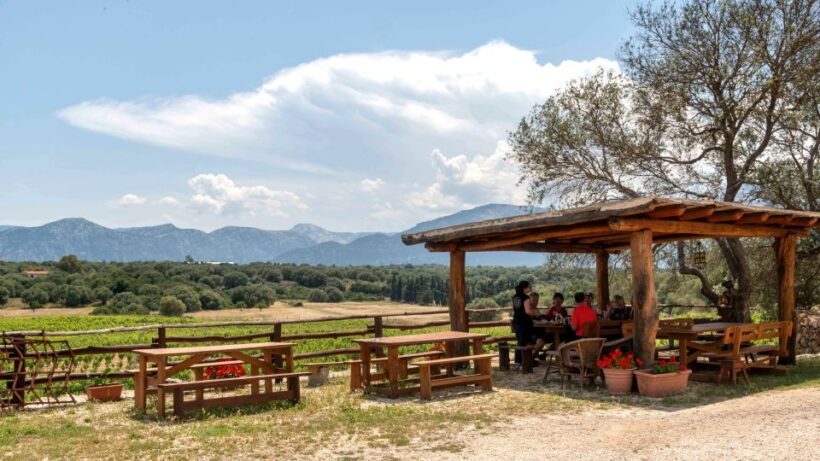 Sardinia: Dorgali Winery Tour with Tasting and Local Guide - Who Should Consider This Tour?
