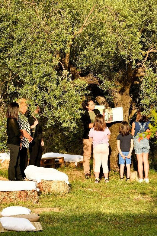 SARDINIA FOOD Tour in the oil mill, with tasting, at sunset. - Who Would Love This Tour?