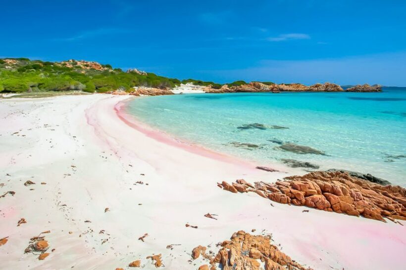 Sardinia: La Maddalena Archipelago Full-Day Trip by Boat - Sardinia: La Maddalena Archipelago Full-Day Trip by Boat – An Honest Look