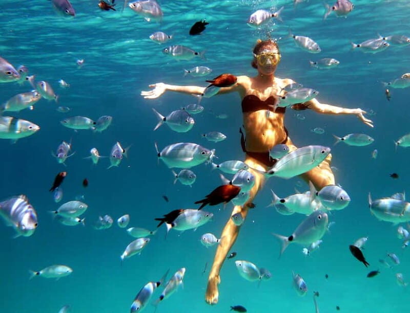 Sardinia: Morning Kayak Tour with Snorkeling - Key Points