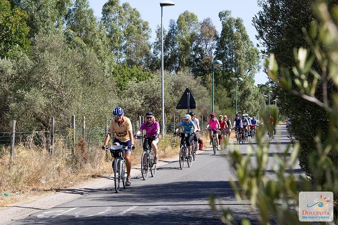 Sardinia Trekking Bike Rental - Meeting Point and Activity The Sum Up