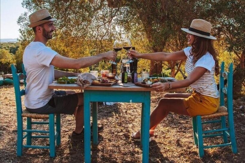 Sardinian Olive Oil tasting & Picnic among the olive trees - What’s Included and How It Adds Value