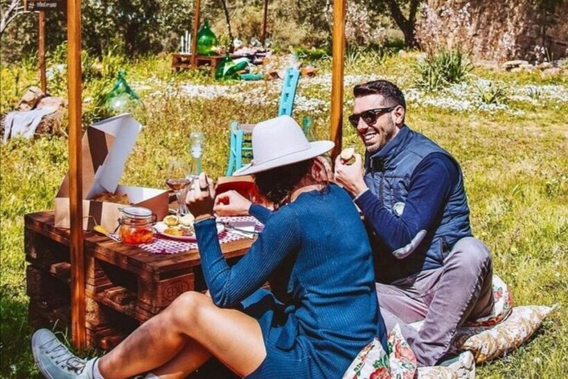 Sardinian Olive Oil tasting & Picnic among the olive trees - Final Thoughts: Is It Worth It?
