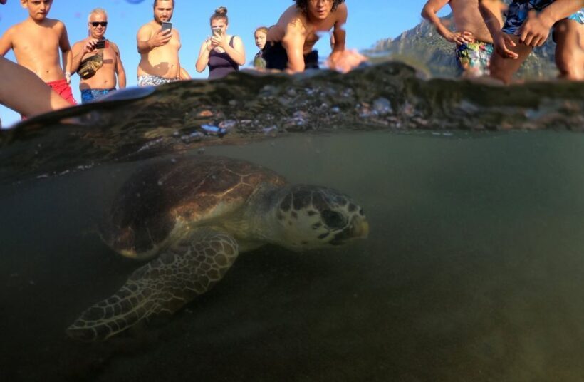 Sarigerme: Dalyan, Turtle Beach, Mud Bath, & King Tombs Tour - An In-Depth Look at What You Can Expect