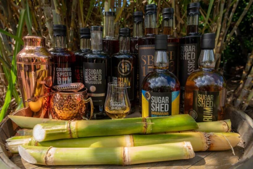 Sarina: Rum Distillery Guided Tour and Tasting - Value for Money and Overall Impression