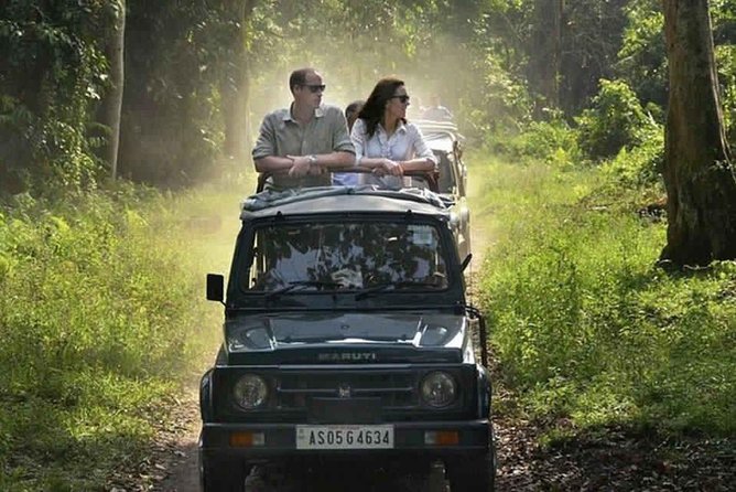 Sariska Tiger Reserve Safari tour from Jaipur - Final Thoughts: Is This Safari for You?