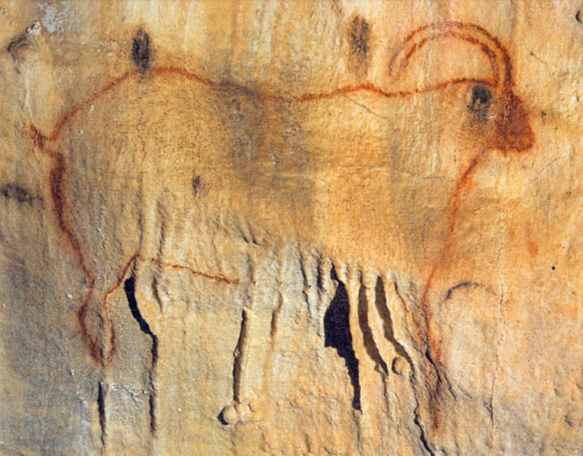 Sarlat : Private Tour to an Original Prehistoric Cave - Who Should Consider This Tour?