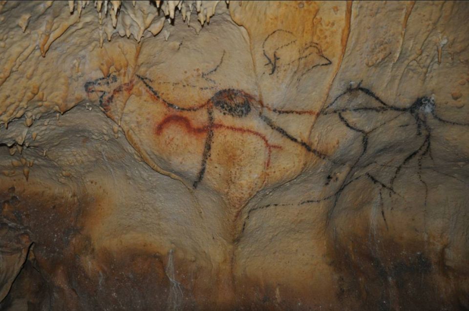 Sarlat : Private Tour to an Original Prehistoric Cave - Final Thoughts