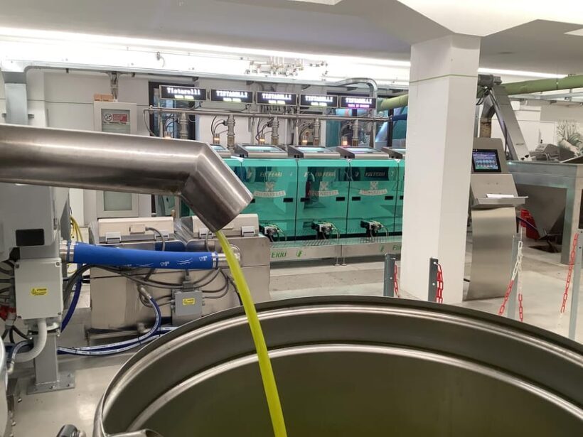 Sarteano: Tasting of oils and bruschetta - Key Points