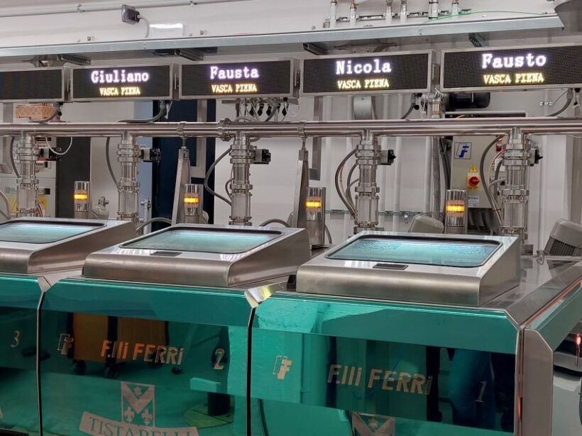 Sarteano: visit to the mill and oil tasting - What to Expect from the Olive Oil and Tasting Tour