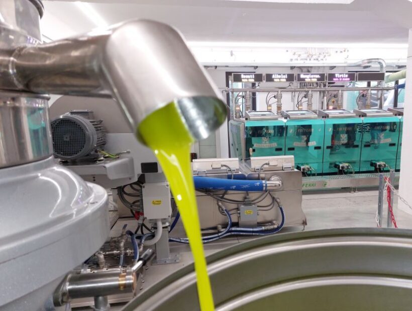 Sarteano: visit to the mill and oil tasting - The Sum Up