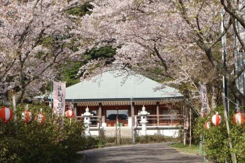 Sasebo: History, Crafts, and Sights Guided Tour with Lunch - Authenticity and Personal Touch