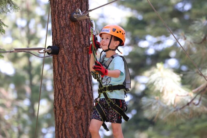 Sasquatch Hollow: Kids' Zipline Adventure - Key Points