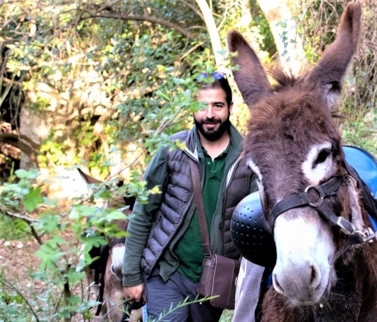 Sassari: hiking with donkeys in Cargeghe and aperitif - Authentic Experiences Drawn from Real Reviews