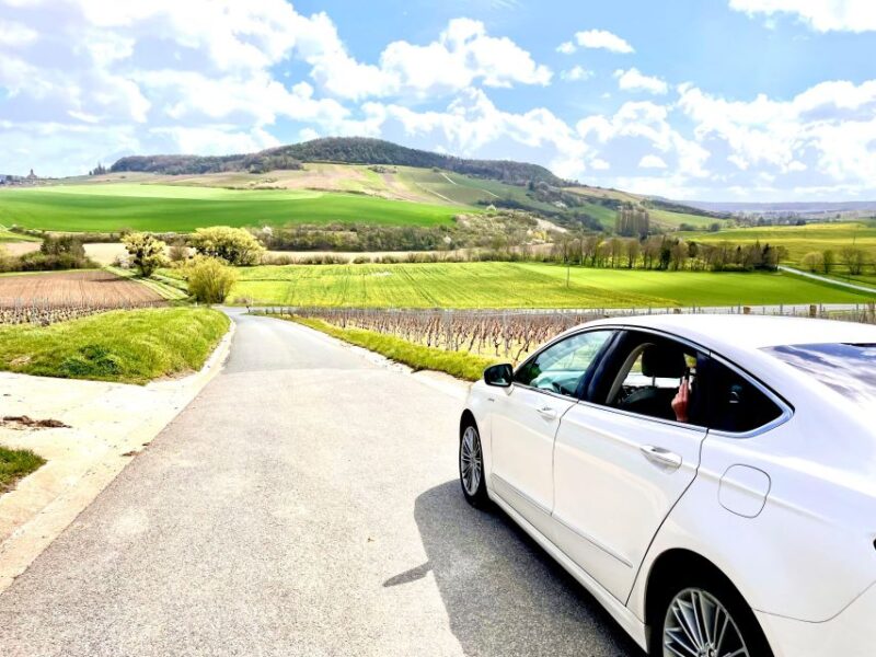 Sauternes : Sweet wine from Bordeaux - An In-Depth Look at the Bordeaux Sauternes & Abbey Tour