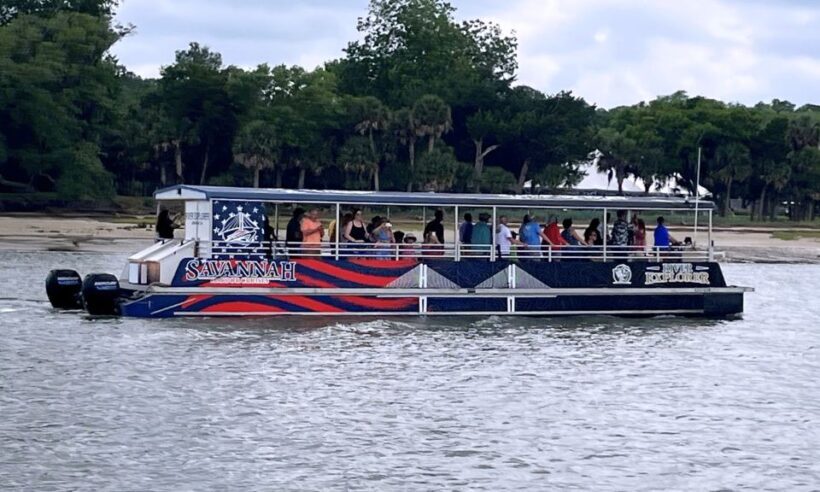 Savannah: Dolphin Spotting and Wildlife Eco Cruise - The Sum Up