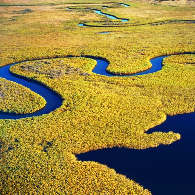 Savannah: Dolphin Spotting and Wildlife Eco Cruise - FAQ