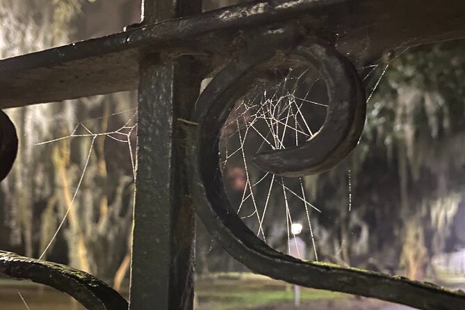 Savannah Ghost Tour for Adults ALL Alcoholic Drinks Included - Guest Reviews and Feedback