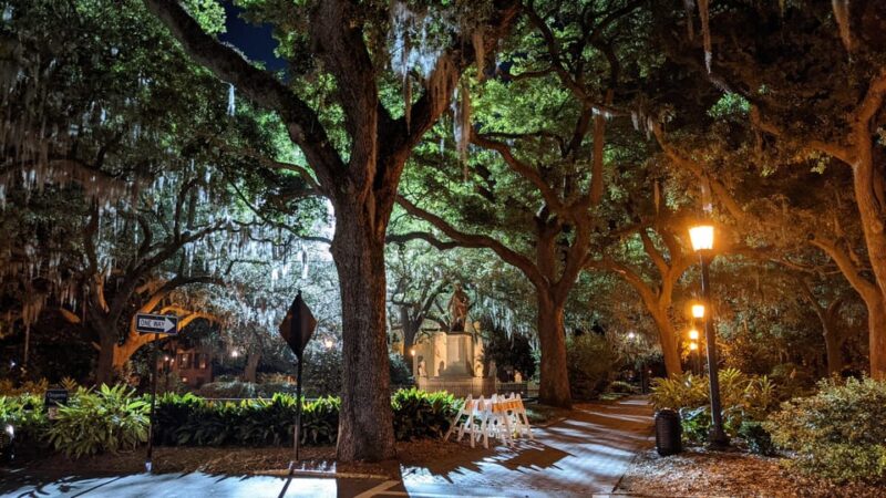 Savannah: Haunts and Horror - The Hell Cat Ghost Tour - What Tour Participants Say